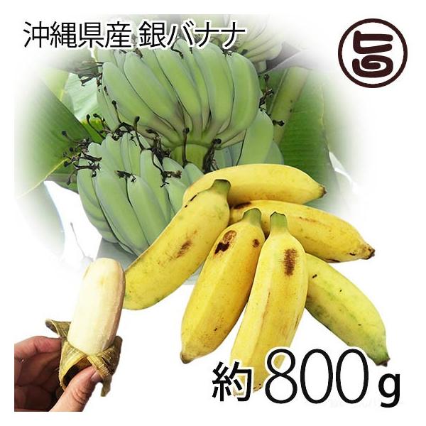 【発売日：2026年01月11日】【名称】バナナ【内容量】沖縄県産 銀バナナ 約800g(5〜10本程)※自然栽培のフルーツです。収穫時期により大きさが異なります。本数のご指定は出来ません。【保存方法】風通しの良い場所で常温保存。食べごろに...