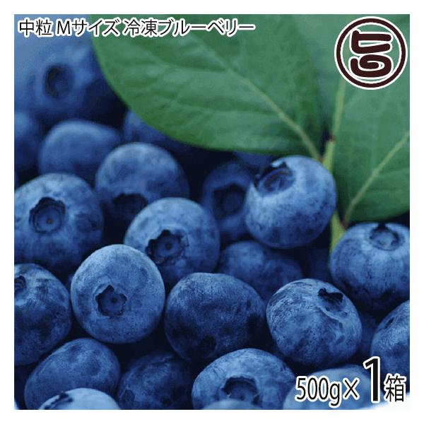 【発売日：2026年01月05日】【名称】冷凍ブルーベリー【内容量】500g×1P（Mサイズ果実1粒直径：約13mm〜17mm）2022年収穫【賞味期限】冷凍庫保管で3ヶ月以内※賞味期限に関わらずお早めにお召し上がりください。【原材料】長野...