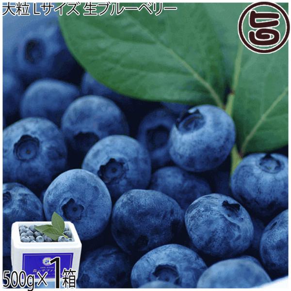 【名称】ブルーベリー【内容量】500g×1P（Lサイズ果実1粒直径：約17mm?21mm）【賞味期限】到着後冷蔵で3?4日程度※生ものですのでお早目にお召し上がりください。【保存方法】冷蔵 ※すぐに食べきれない場合は、冷凍保存をおすすめします。
