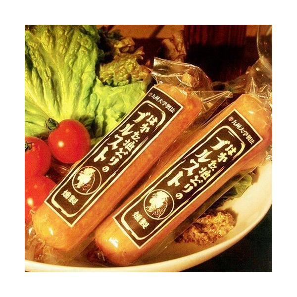 【内容量】140ｇｘ5本  【賞味期限】製造日より３０日【保存方法】冷蔵庫で保存。開封後は賞味期限にかかわらずお早めにお召し上がりください。　    【原材料】鶏肉(はかた地とり)豚脂(九州産９玉ねぎ(九州産)片栗粉(北海道)鶏コラーゲン(...