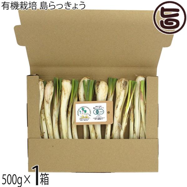 【名称】島らっきょう生【内容量】500g×1箱【賞味期限】到着日より 常温で7〜10日 要冷蔵で30日【保存方法】要冷蔵（10℃以下）で保存 ※常温で発送しますので、到着したら絶対に洗わずに新聞紙で包んで、冷蔵庫の野菜室にて保存。【栄養成分...