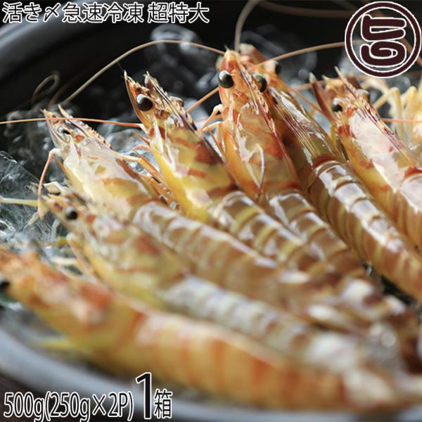 【名称】車海老【内容量】500g(250g×2P)/12-14尾/超特大/約19cm×1箱【賞味期限】発送から90日間※出来る限り冷凍庫の奥で保管をお願い致します【保存方法】-18℃以下で保存してください（要冷凍）【特定原材料等】えび