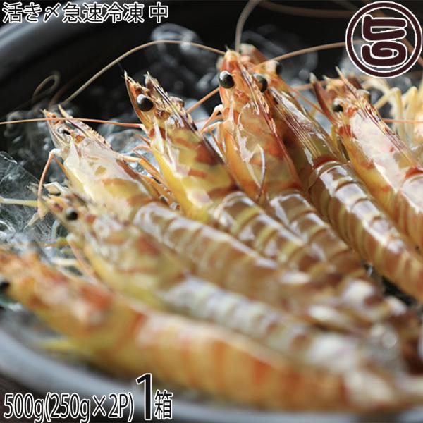 【名称】車海老【内容量】500g(250g×2P)/25-29尾/中/約14cm）×1箱【賞味期限】発送から90日間※出来る限り冷凍庫の奥で保管をお願い致します【保存方法】-18℃以下で保存してください（要冷凍）【特定原材料等】えび