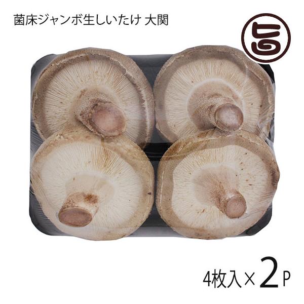 【名称】菌床ジャンボ生しいたけ【内容量】大関 直径9cm〜11cm 4個入×2P【賞味期限】到着日より・要冷蔵 2週間・冷凍 約1ヶ月【原材料】宮崎産しいたけ【保存方法】軸を上にしてパックごと要冷蔵。冷凍する場合は、石づき（椎茸の軸の先にあ...