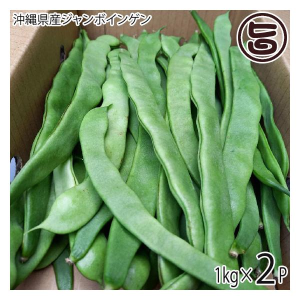 【名称】沖縄野菜【内容量】500g×2P ※サイズはバラバラ、曲がり等あり【賞味期限】到着後　野菜室：7〜10日　冷凍：30日【原材料】沖縄県産 ジャンボインゲン【保存方法】常温発送で、届いたらすぐにキッチンペーパーに包んでからポリ袋に入れ...