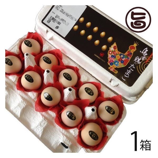 【内容量】10個※卵の為、重量個体差アリ【賞味期限】14日※生みたてを出荷いたします。【原材料】烏骨鶏卵【保存方法】要冷蔵（10℃以下で保存して下さい。）【JANコード】4573311378138【販売者】株式会社オリーブガーデン（沖縄県国...