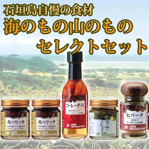 【内容量】 島ハリッサ：40g×2本 コーレーグース：70g×1本 シークヮーサーこしょう：40g×1本 ヒバーチ：20g×1本【原材料】 ●島ハリッサ：オリーブオイル・唐辛子・にんにく・塩（石垣の塩）・クミン・長命草の種・スペアミント ●...