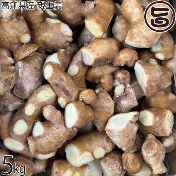 【内容量】5kg×1箱【保存方法】水気を拭いてから、キッチンペーパーに包み、ポリ袋へ入れて冷蔵庫の野菜室へ。【栄養成分表示】100gあたり　エネルギー 30kcal　たんぱく質 0.9g　脂質 0.3g　炭水化物 7g　ナトリウム 6mg　...