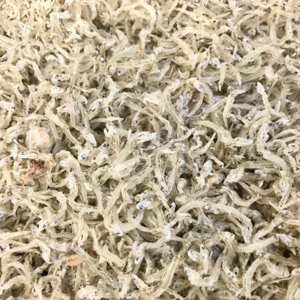 ちりめん かちり 干し 1kg 【国内産】 毎日小魚を食べよう！ 【冷凍便】うまいもの市場が販売いたします。ふりかけ、佃煮、おろしポン酢、パスタ、和え物、炒め物等、幅広いお料理にお使いいただけます。毎日のカルシウム摂取におすすめです。ジップ...