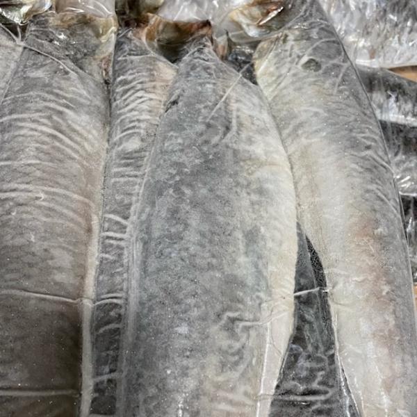 身欠き にしん 1kg 【ソフトタイプ・脂あります】 焼いても・煮ても美味しいです！ おせち・昆布巻き・にしんそばにうまいもの市場が販売いたします。昆布巻き、煮物、にしんそば、切り昆布と炒め煮など料理方法は様々です。そのまま焼いても酒の肴に...