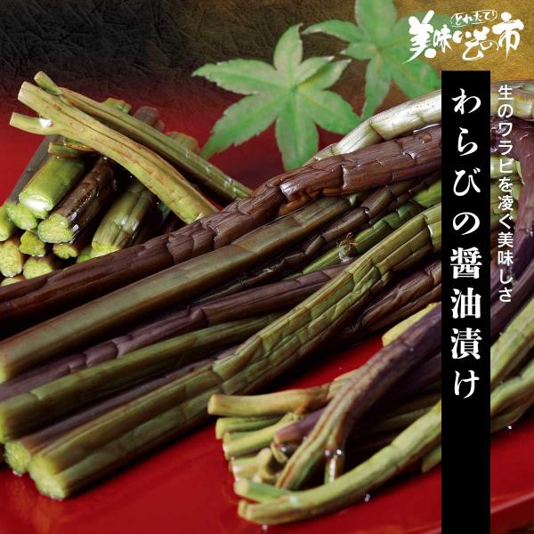 【発売日：2021年09月01日】