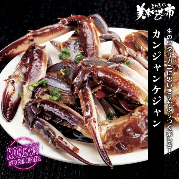 【発売日：2024年06月30日】