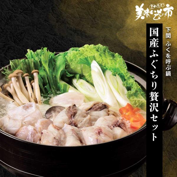 【発売日：2024年11月05日】