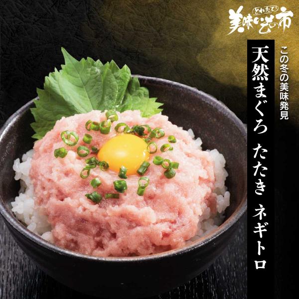 【発売日：2024年11月05日】