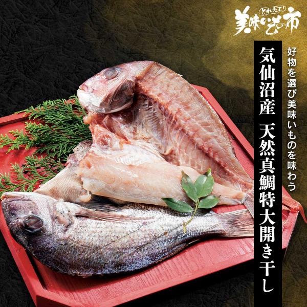 【発売日：2024年11月05日】