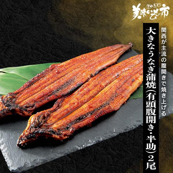 【発売日：2026年01月05日】