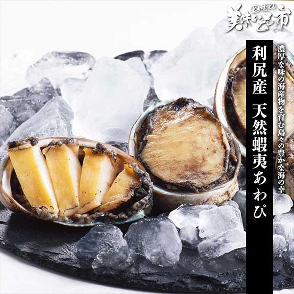 【発売日：2026年02月24日】