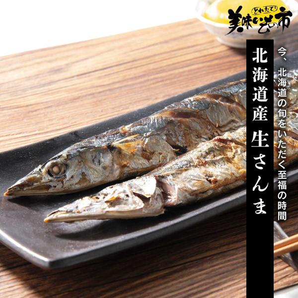 【発売日：2024年05月28日】