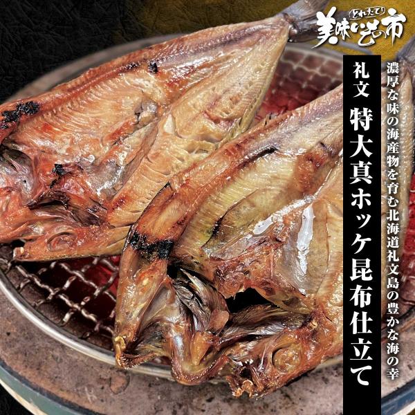 【発売日：2025年02月27日】