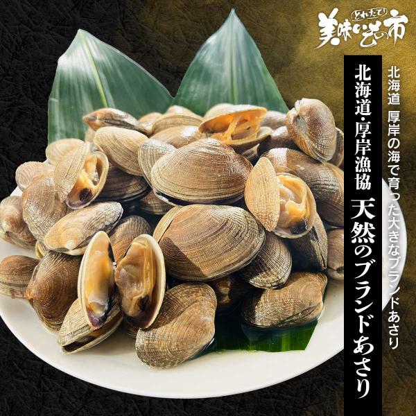 【発売日：2025年01月15日】