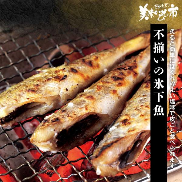 【発売日：2025年05月26日】