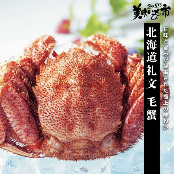 【発売日：2025年08月25日】