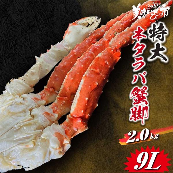 【発売日：2024年04月30日】