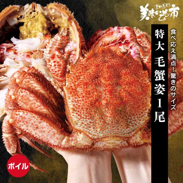【発売日：2024年05月28日】