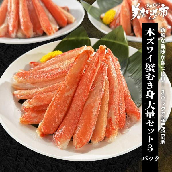 【発売日：2025年01月15日】