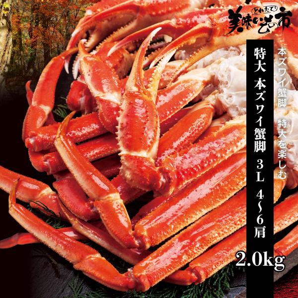 【発売日：2025年11月04日】