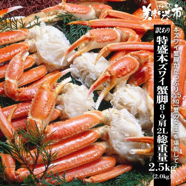 【発売日：2026年03月01日】