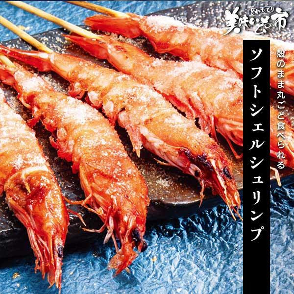 【発売日：2026年02月24日】