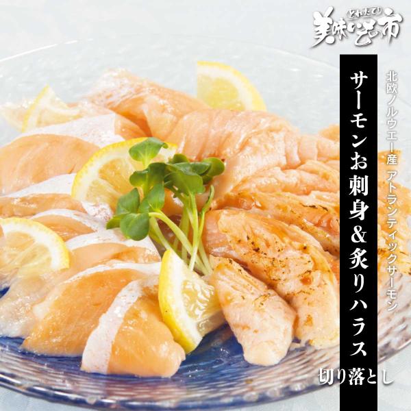 【発売日：2026年05月23日】