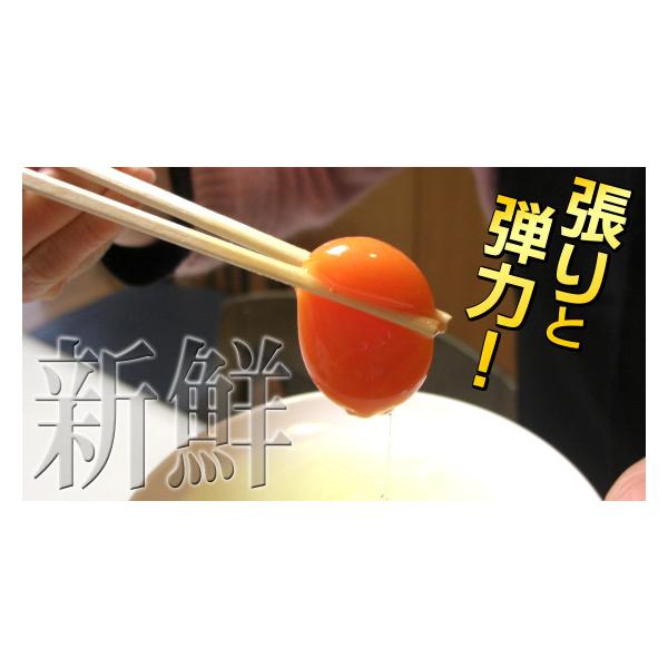 アスタキサンチン含有量１００グラム当り1.64ミリグラム最近注目されてきた赤色系カルチノイド色素の一種。老化を抑える抗酸化力がありビタミンＥの１０００倍近い働きがある。動物実験では、アスタキサンチンの投与で寿命が37％も伸びる事が実証されて...