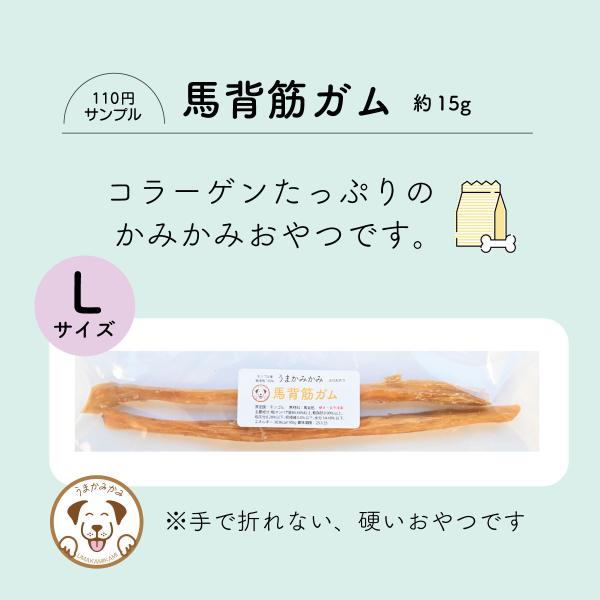 サンプル馬背筋ガムLサイズ モンゴル産 うまかみかみ馬背筋ガム（たてがみ）をじっくりと乾燥させた長持ちタイプのおやつになります。一頭からわずか数百グラムしか取れない貴重な部位となります。コラーゲンたっぷり！※お一人様2個まで馬背筋ガム（ロン...