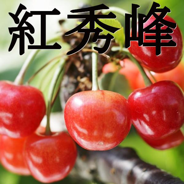 【発売日：2026年06月15日】糖度が20度以上のさくらんぼ「紅秀峰（べにしゅうほう）」。JAさがえ西村山から朝採りさくらんぼ「紅秀峰」を直送します。紅秀峰は、佐藤錦と天香錦の交配育成で誕生した新品種。糖度は20度以上で、酸味が少なく甘味...