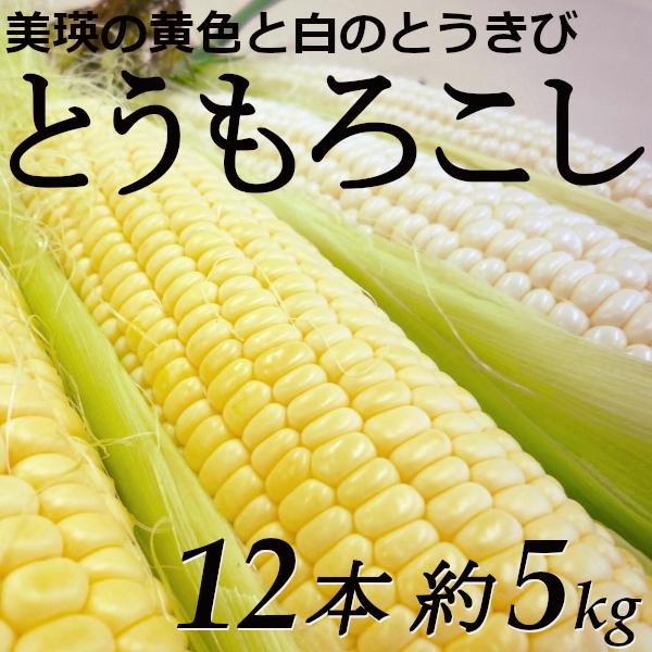 【発売日：2026年08月10日】※ご予約商品です。※※8月中旬頃より順次発送いたします。※丘陵風景と花の風景が有名な町「美瑛町」。上川盆地にあるため、寒暖の差が大きく、美味しい農作物が出来ることで有名です。その美瑛ではとりわけ甘いとうもろ...
