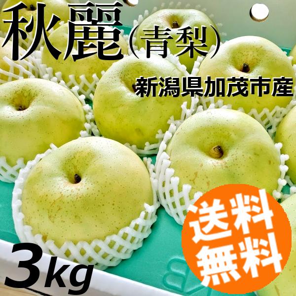 【発売日：2026年08月20日】人気急騰の新しい青梨「秋麗（しゅうれい）」。ジューシー♪そして上品な味わいです。新潟県加茂市やまげん果樹園から青梨の常識を覆す、とても甘みのある梨「秋麗（しゅうれい）」を産地直送でお届けします。ーーーーーー...