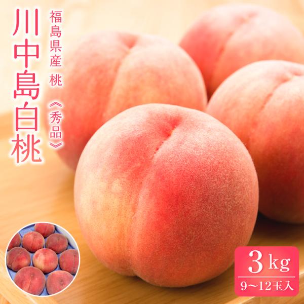 ■商品内容：福島産桃 秀品 川中島白桃 約３ｋｇ（約９〜１２玉）<br>※玉数の指定はできません。<br>■賞味期限：生鮮果実のため、お早めにお召し上がりください。<br>■保存方法、お召し上がり方：常温...