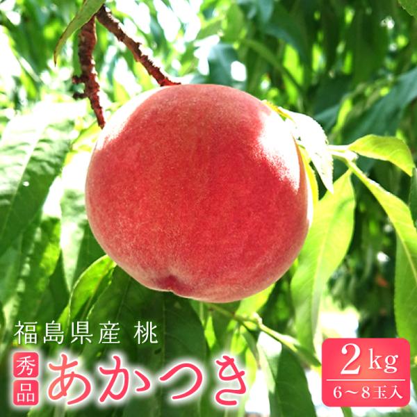 ■商品内容：福島産桃 秀品あかつき約２ｋｇ（約６〜８玉）※玉数の指定はできません。■賞味期限：生鮮果実のため、お早めにお召し上がりください。■保存方法、お召し上がり方：常温で保存。桃が到着した時、柔らかくなりすぎないように収穫時は若干かため...