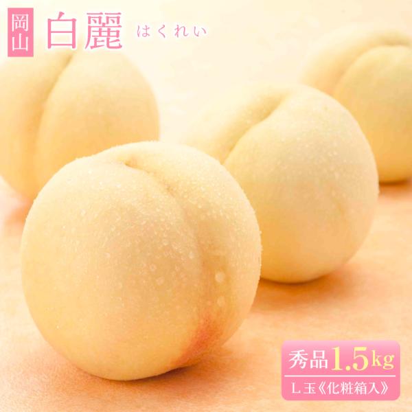 ■商品内容：岡山県産白桃 白麗約１.５kg（４〜５玉）L玉秀品 化粧箱入り※玉数の指定はできません。■賞味期限：生鮮果実のため、お早めにお召し上がりください。■保存方法、お召し上がり方：常温で保存。桃が到着した時、柔らかくなりすぎないように...