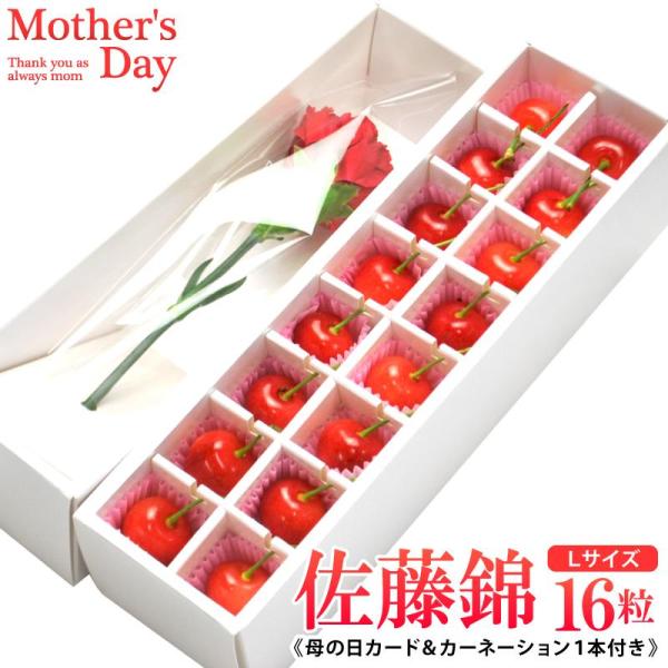 商品内容■産地：山形県東根産（加温ハウス栽培） ■品種：佐藤錦■形態規格：Ｌサイズ以上16粒 手詰め ギフト箱≪カーネーション(生花又は造花1本）、母の日カードを無料でお付けします。≫■賞味期限デリケートな果物ですので、到着後、直ぐに開封し...