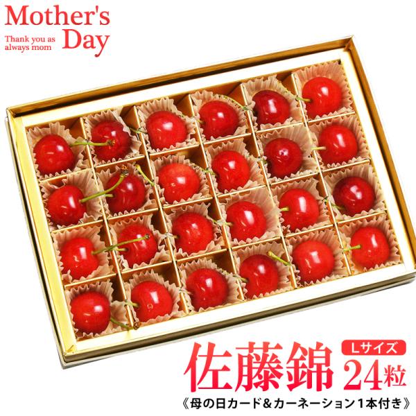 商品内容■産地：山形県東根産（加温ハウス栽培） ■品種：佐藤錦■形態規格：Ｌサイズ24粒 手詰め チョコ箱≪カーネーション(生花又は造花1本）、母の日カードを無料でお付けします≫■賞味期限デリケートな果物ですので、到着後、直ぐに開封し冷蔵庫...