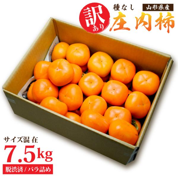 ■商品内容：訳あり山形県産種無し庄内柿 ご自宅用 約7.5kg（サイズ混在）(脱渋済)バラ詰※枝キズ・変形・柔らかい柿も含みます。ご贈答には不向きです。■賞味期限：生鮮果実のため出来る限りお早めにお召し上がりください。■保存方法、お召し上が...