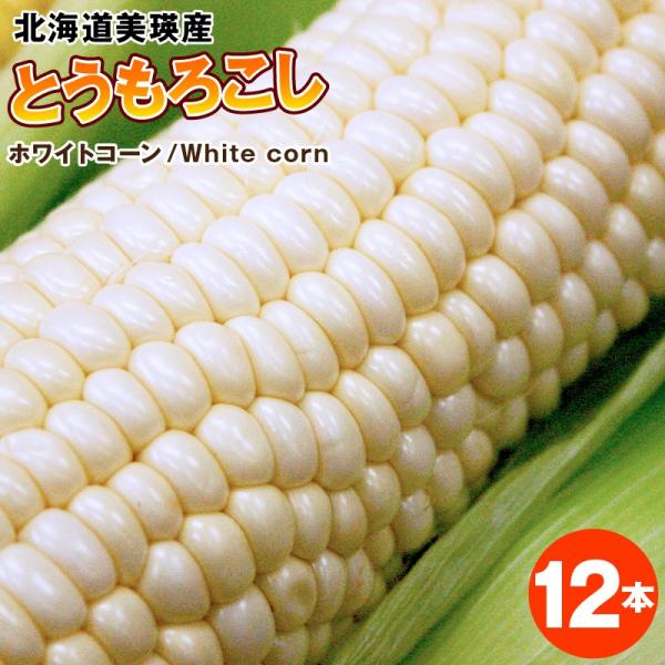 【商品内容】ホワイトコーン（M〜２Lサイズ）×１２本（約４〜４.５ｋｇ前後）天日塩＋お召し上がり方説明書【保存方法、賞味期限】冷蔵で１週間ほど。皮つきのままラップで包んで縦に立たせてください。長期保存する場合には、トウモロコシの実を包丁でそ...