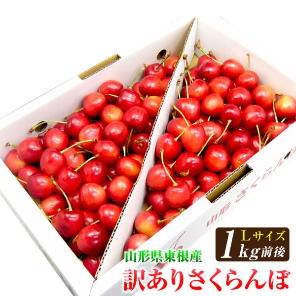 【商品内容】■産地：山形県東根産（露地栽培） ■品種：おまかせ（出荷時期によって変わります）佐藤錦 紅秀峰 南陽 サミット ナポレオンなど■形態：バラ詰め1kg■規格：L玉■注意：訳あり商品のため、のしなどのギフト対応はできません。配送伝票...