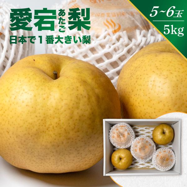うまうまもぐもぐ 鳥取県産 愛宕梨 5玉 6玉 5kg相当<br>うまうまもぐもぐが厳選した鳥取県の日本で一番大きい和梨の「あたご梨」を直送します。<br>大きいだけでなく、香りがよく、果肉はシャキシャキで、口の中で...