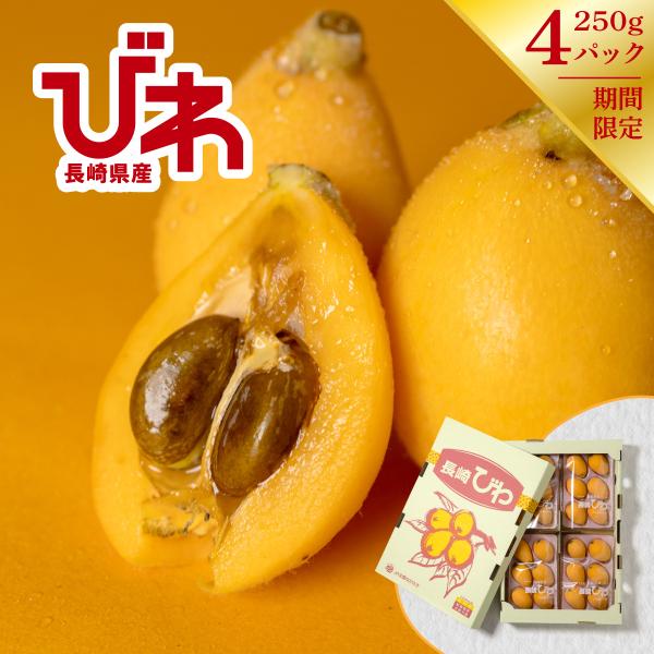 うまうまもぐもぐ 長崎県産 びわ 1kg 1ケース 250g 4パック海からの風に包まれ、降りそそぐ太陽の恵みをその果実にたっぷりと詰め込んだ「長崎びわ」。初夏の訪れとともに、甘くてジューシーな味わいを皆さんにお届けします。 江戸時代からび...