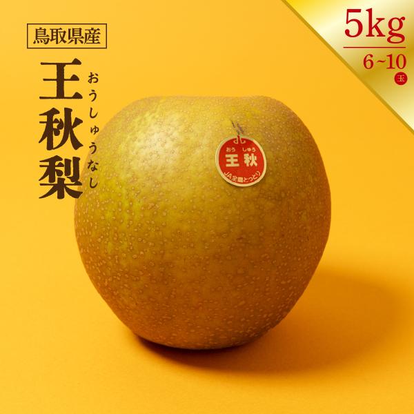 うまうまもぐもぐ 鳥取県産 王秋梨 6玉 4kg相当<br>うまうまもぐもぐが厳選した鳥取県のオリジナルブランド品種「王秋梨」を直送します。<br>「王秋」(おうしゅう）は、特有の香気もあり、果肉が緻密で柔らかく、シ...