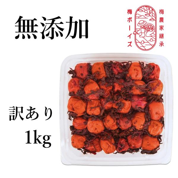 【無添加】紀州産（和歌山県、三重県）紀州南高梅と天日塩と紫蘇だけで漬けた昔ながらのすっぱい梅干し。皮の破れや傷がついてしまった訳あり梅のお得なパック。着色料不使用。【無添加】紀州産（和歌山県、三重県）紀州南高梅を天然塩（天日塩）と紫蘇だけで...